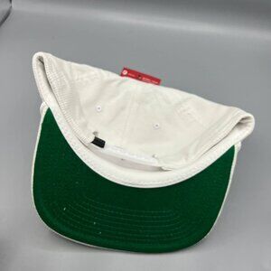 Jordan | Accessories | Gatorade X Air Jordan Hat Men White Green ...